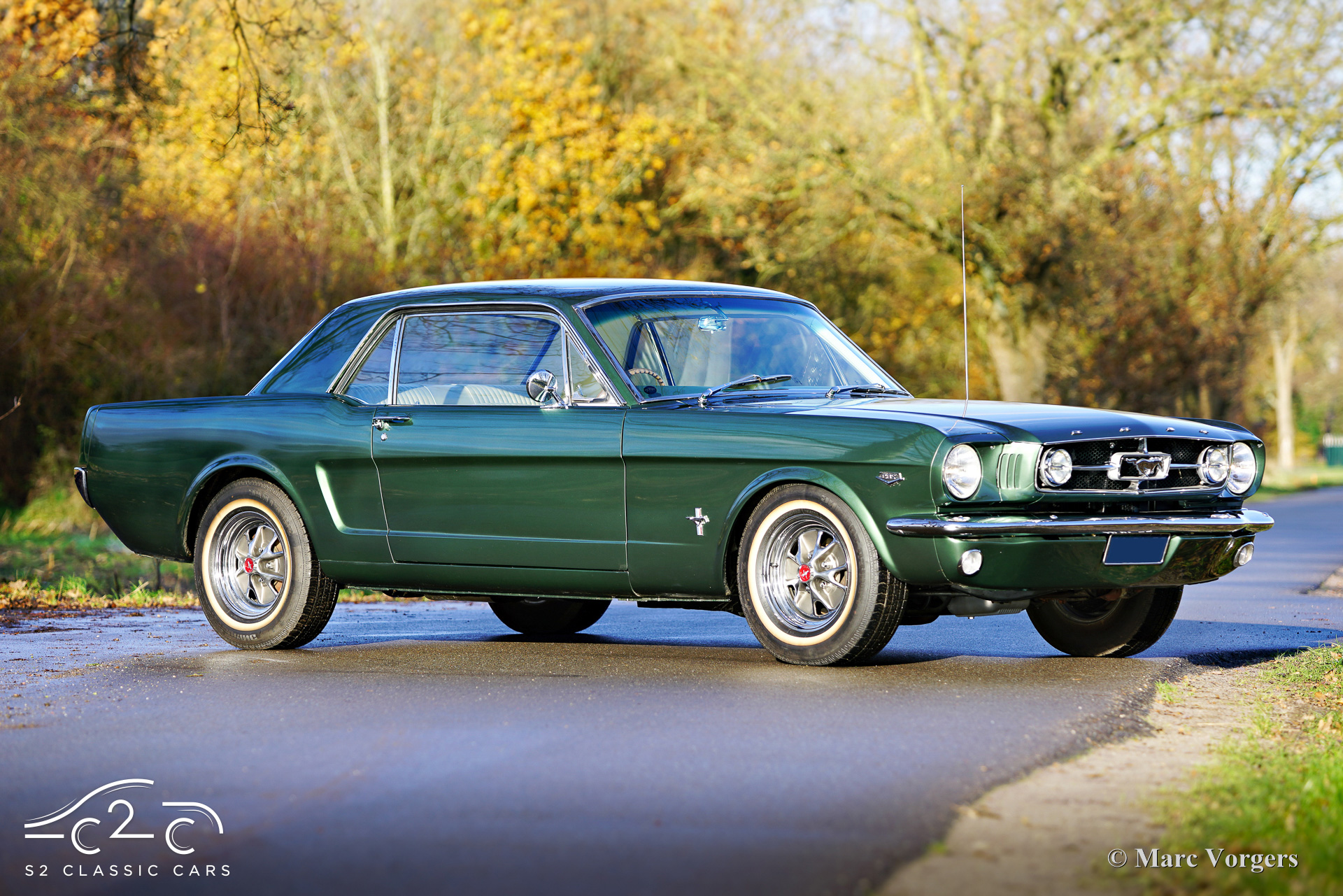 Ford Mustang Grun